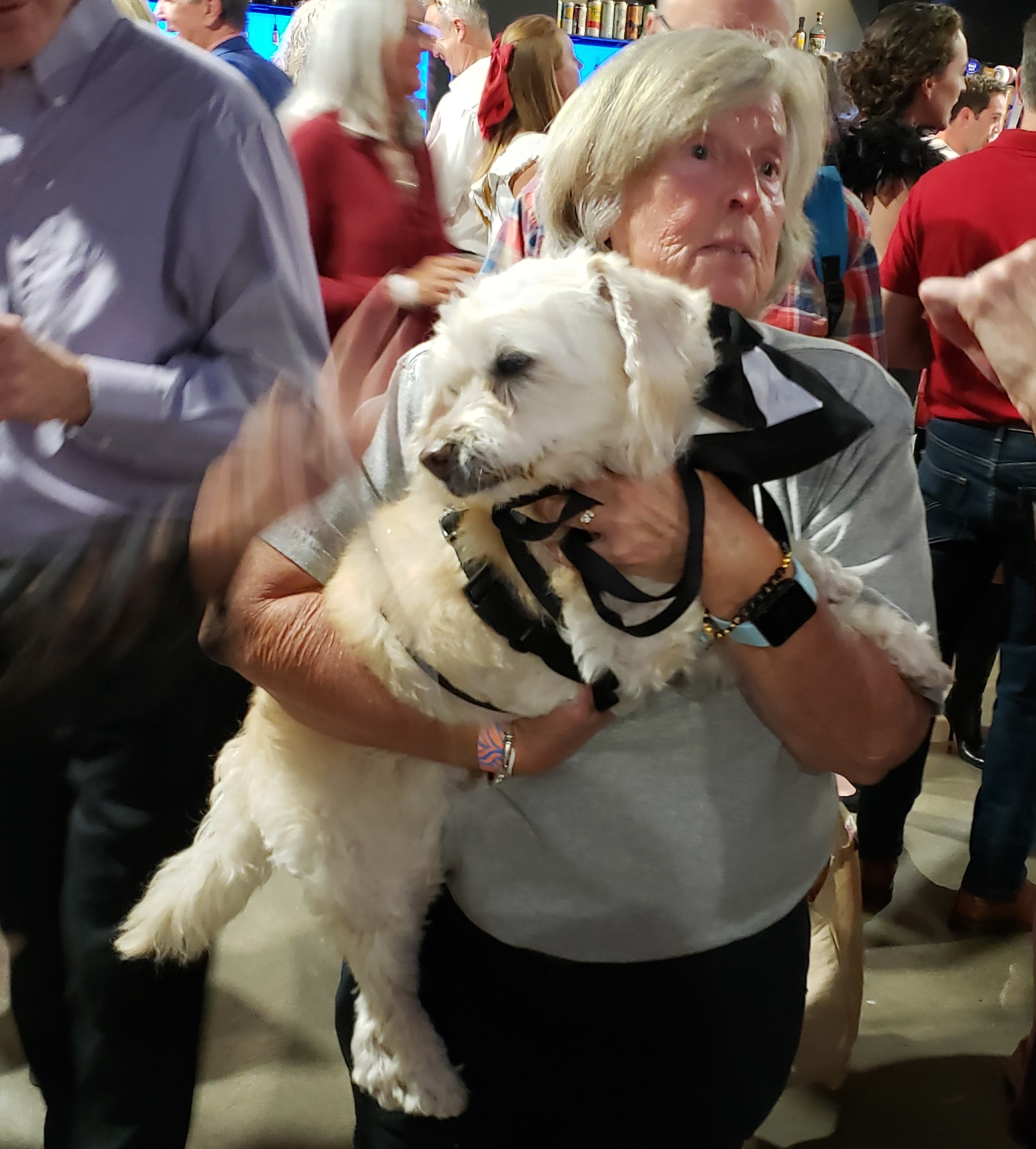 Photos: Best Dressed at the Pepper 'Em With Love Fundraiser