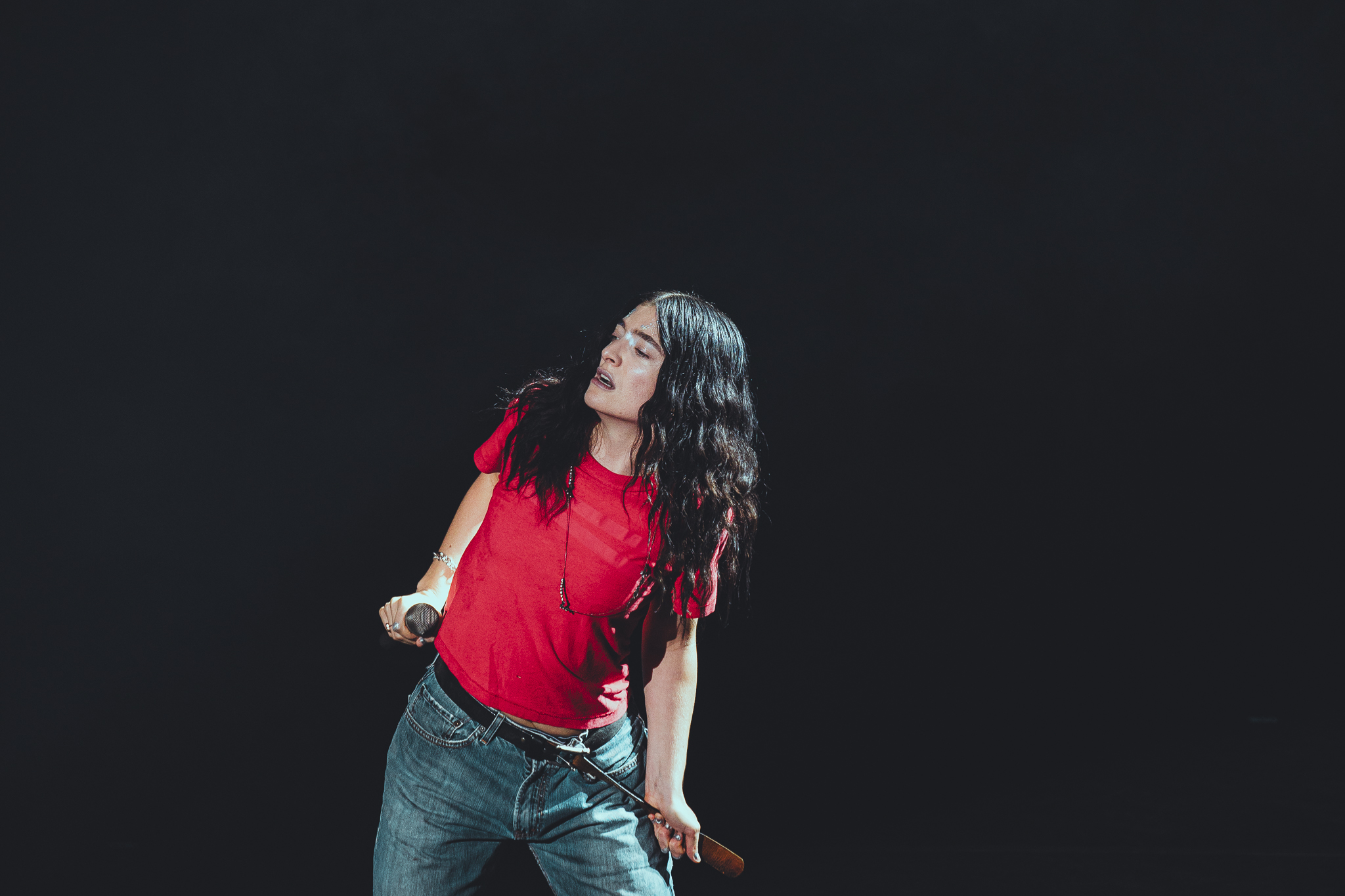 Lorde Red Rocks Concert Was Electrifying: Photos