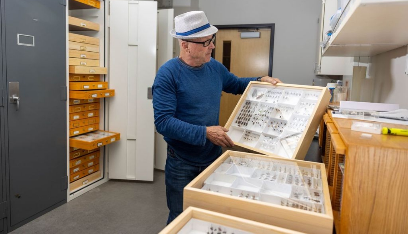 Colorado Faces New Disease Threats From Mosquitos, Kissing Bugs