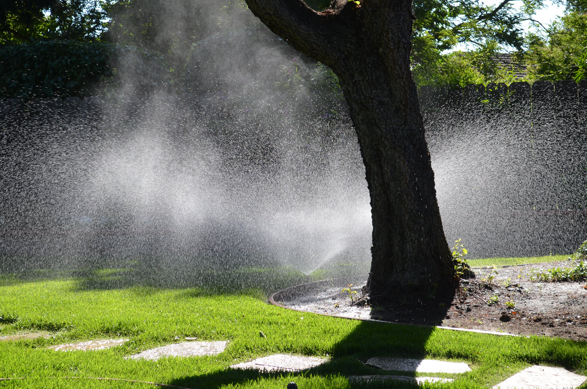 How Denver's Upcoming Water Restrictions Will Impact You