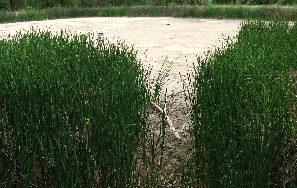 Did Colorado get enough rain and snow to end Denver's drought?