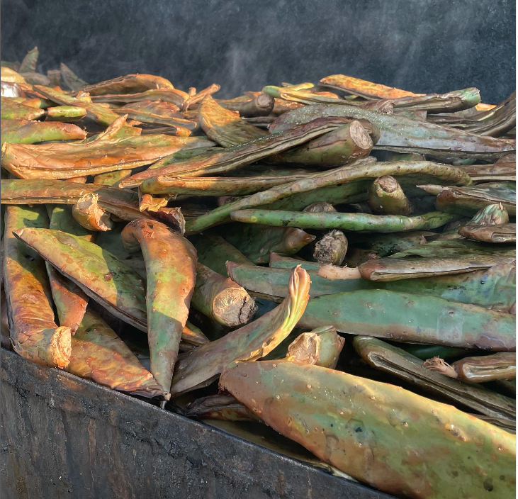 Dry Land Distillers's Cactus Spirit Wins 2023 Good Food Award | Denver ...