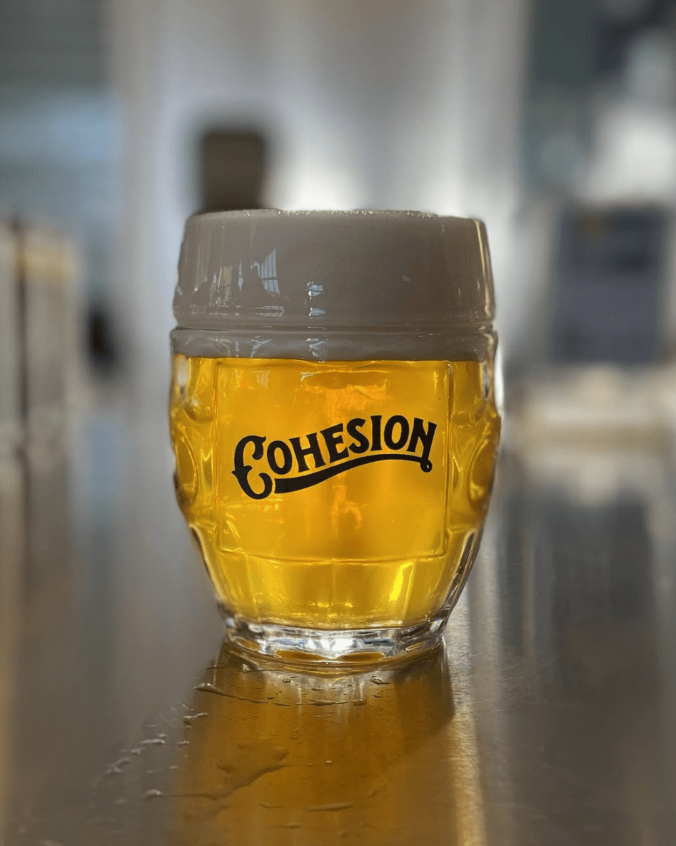 The 11 Best Colorado Beers 2024 | Denver Westword
